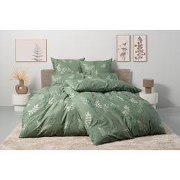 Bettw&auml;sche Bierbaum, gr&uuml;n, Renforc&eacute;, Obermaterial: 100% Baumwolle, Bettw&auml;sche, "Hellena", in Gr. 135x200 oder 155x220 cm, 100% Baumwolle, Gr&auml;ser