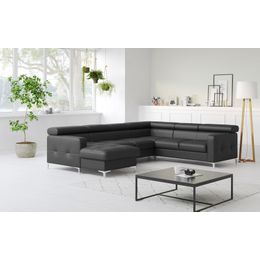 COTTA Wohnlandschaft "Sammy U-Form, B: 304 cm", B/H/T: 304cm x 74cm x 240cm, Leder PAMPAS, Recamiere links, Mit Kopfteilverstellung,Mit Bettfunktion
