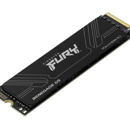 Kingston interne SSD "4T FURY RENEGADE G5 M.2 2280 NVMe SSD", 4 TB, schwarz, Festplatten