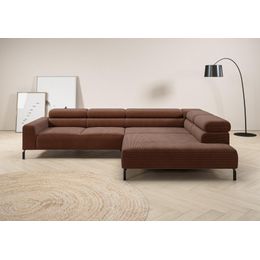 Ecksofa Home Affaire, B:312cm H:71cm T:219cm, braun, 95% Polyester, 5% Nylon, Wohnzimmer, Sofas, "Antonelli, L-Form, incl. Kopfteilverstellung,
