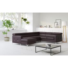 COTTA Wohnlandschaft "Sammy U-Form, B: 304 cm", B/H/T: 304cm x 74cm x 240cm, Leder PAMPAS, Recamiere links, Mit Kopfteilverstellung,Mit Bettfunktion