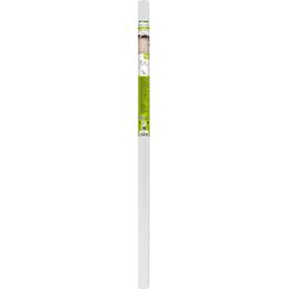 Windhager Fliegengitter-Gewebe "f&uuml;r Fenster, Balkon- und Terrassent&uuml;ren, Moskitontez ohne Bohren", B/H: 120cm x 250cm, wei&szlig;, Insektenschutzgitter,