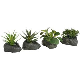 Kunstpflanze OTTO HOME, B:13cm H:12cm T:13cm, gr&uuml;n, Kunststoff, Badezimmer, Kunstpflanzen, "Sukkulenten", 4er Set