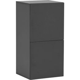 Container Schildmeyer, B:45,4cm H:92,6cm T:40,7cm, grau, FSC-zertifizierter Holzwerkstoff, Werkstatt, Schr&auml;nke, "Locked, Garderoben Spint,