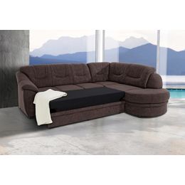 Sit & More Ecksofa SIT & MORE, B:267cm H:90cm T:206cm, braun, NaturLEDER (echtes Rindsleder) in Sitz und R&uuml;cken. Korpus in passendem Kunstleder SOFTLUX