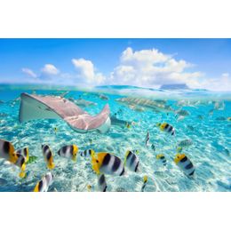 papermoon Fototapete "UNTERWASSER-WELT-FISCHE KORALLE SEE MEER TIERE OZEAN", B/L: 2m x 1,49m, Bahnen: 4 Stk., bunt, Schlafzimmer, Tapeten