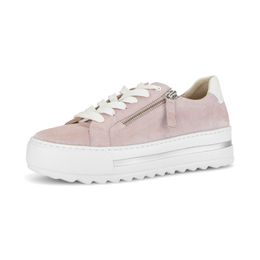 Gabor Damen Plateausneaker "FLORENZ", Gr. 43, rosa, Kalbsleder, Veloursleder, Schuhe, Freizeitschuh, Halbschuh, Schn&uuml;rschuh mit Au&szlig;enrei&szlig;verschluss,
