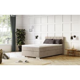 Boxspringbett COTTA, L:209cm, beige, Polyester, Komplettbetten, "Simba erh&auml;ltlich in verschiedenen Breiten, Farben und H&auml;rtegraden", Bezugsstoff: