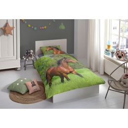 Kinderbettw&auml;sche Good Morning, bunt, Renforc&eacute;, Obermaterial: 100% Baumwolle, Bettw&auml;sche, "Running horse", Baumwolle, 135x200, 2 Teilig,