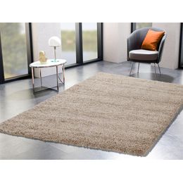 Hochflor-Teppich, B:200cm H:52mm L:290cm, beige, OCI DIE TEPPICHMARKE, Polypropylen (PP), Teppiche, "LOBBY SHAGGY, auch als L&auml;ufer und in Rund",