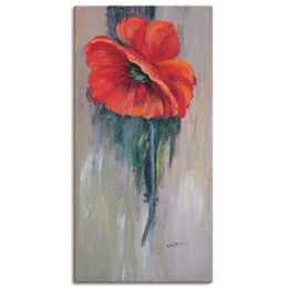 Leinwandbild Artland, B:20cm H:40cm, rot, Leinwand, Wohnzimmer, Bilder, "Roter Mohn III", auf Holzrahmen gespannt