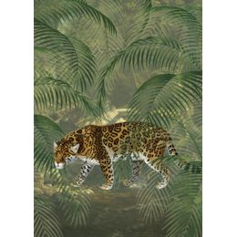 Fototapete "Leopard", B/L: 2m x 2,8m, bunt, SUPERFRESCO EASY, Tapeten, 280x200cm