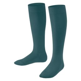 Falke Kinder Kniestr&uuml;mpfe "Family", Gr. 31, gr&uuml;n, Obermaterial: 92% Baumwolle CO. 7% Polyamid PA. 1% Elasthan EL., glatt, Socken