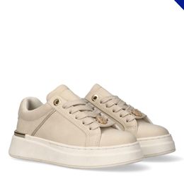 Tommy Hilfiger Jungen Sneaker, Gr. 39, beige, Lederimitat, Textil, Schuhe, Freizeitschuh, Halbschuh, Schn&uuml;rer mit Schmuckelement
