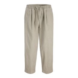 Jack & Jones JACK & JONES Pleated Jeans 'JPSTEvan Blaine' male size 38 Stone