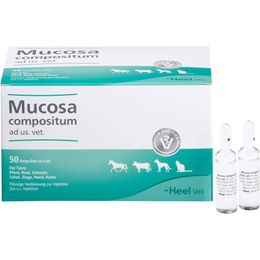 Heel Mucosa compositum ad us.vet.Ampullen 50X5 ml