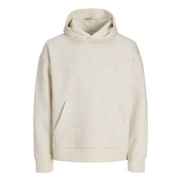 Jack & Jones Jack & Jones Kapuzensweatshirt Barron Hoodie