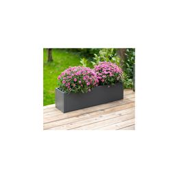 WESTMANN Metall Pflanzk&uuml;bel Talus M Anthrazit 25x100x27cm