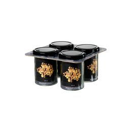 Ritzenhoff & Breker Ritzenhoff & Breker 4er Set Vorratsgl&auml;ser-Set Mara 435 ml transparent in transparent | Gr.: onesize