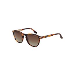 Range Rover M&auml;nner Sonnenbrille Panto Braun | Gr.: onesize