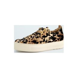 Paul Green Sneaker Low in Animal | Gr.: 37,5