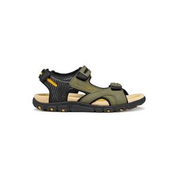 Geox Trekkingsandalen in Oliv | Gr.: 44