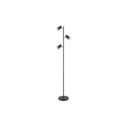 Globo Lighting Stehleuchte schwarz Ma&szlig;e (cm): B: 23 H: 154 &raquo; H&ouml;ffner