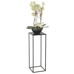 Pharao24.de Blumens&auml;ule Blumenst&auml;nder in Schwarz aus Metall
