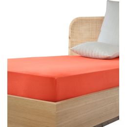 w&auml;schepur w&auml;schepur Betttuch, Orange, Gr. 1 St. 140x200 - 160x200 cm, Spannbettlaken, 100% Baumwolle