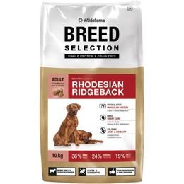 Wildsterne Breed Rhodesian Ridgeback