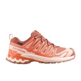 Salomon Xa Pro 3D V9 GTX Schuhe Damen braun 42.0