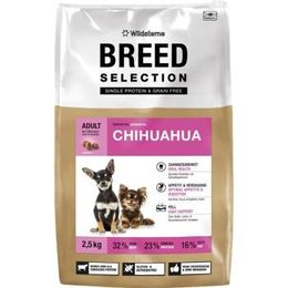 Wildsterne Breed Chihuahua