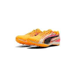 Puma Sportschuh "evoSPEED Haraka Sparked" in Orange | Gr.: 41