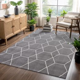 Teppich Sanat, B:140cm H:10mm L:200cmgrau, Kunstfaser, Wohnzimmer, Teppiche, "Trellis, auch als L&auml;ufer und Rund", Kurzflor, skandi, boho, gro&szlig;e