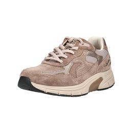 Gabor Damen Sneaker "Gabor Sneaker Veloursleder", Gr. 39shell, Veloursleder, Schuhe
