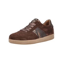 Gabor Damen Sneaker "Gabor Sneaker Nappaleder", Gr. 38cacao, Nappaleder, Schuhe