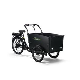 SachsenRAD E-Lastenrad T1 Grand Trunk mit Alarmanlage schwarz