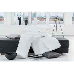 Centa Star Kunstfaserbettdecke CENTA-STAR, B:200cm L:220cmwei&szlig;, Bezug: 100% Baumwolle. F&uuml;llung: 100% Polyester, Bettdecken, "Famous", Bezug mit spezieller,
