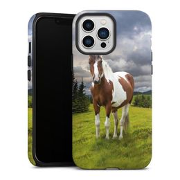 DeinDesign iPhone 13 Pro Max Handy Panzer Handyh&uuml;lle robuste Outdoor H&uuml;lle Schutzh&uuml;lle matt Horse Nature Meadow Tough Case