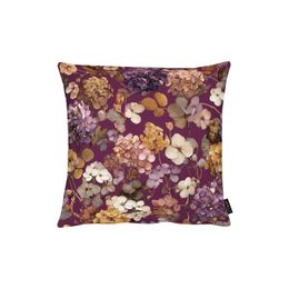 Apelt Kissen lila/violett Ma&szlig;e (cm): B: 48 H: 10 &raquo; M&ouml;bel Kraft