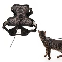 LucyBalu EXPLORER Katzengeschirr