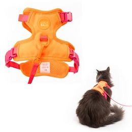 LucyBalu EXPLORER Katzengeschirr