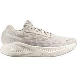 Salomon Aero Glide 4 Schuhe Herren grau 47.3