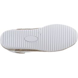 Andrea Conti sheego Gro&szlig;e Gr&ouml;&szlig;en Sneaker, wei&szlig;-goldfarben, Gr&ouml;&szlig;e 41 - Damen