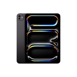 Apple iPad Pro (11") Wi-Fi 1TB space schwarz