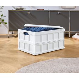 Tchibo - Universal-Aufbewahrungsbox XL