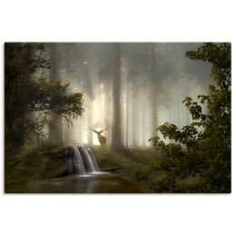 Wandbild Artland, B:90cm H:60cmfarbe bild(er): naturfarben, Wohnzimmer, Bilder, "Waldgeheimnisse", als Alubild, Leinwandbild, Poster, Wandaufkleber