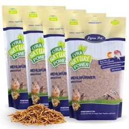 LYRA PET Mehlw&uuml;rmer getrocknet 4x1 kg
