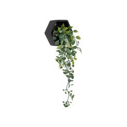Atmosphera Cr&eacute;ateur d'int&eacute;rieur Pflanze in gr&uuml;n | Gr.: onesize