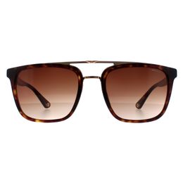 Police Square Herren Havanna und Gold Braun Gradient SPLB41 Origins 35